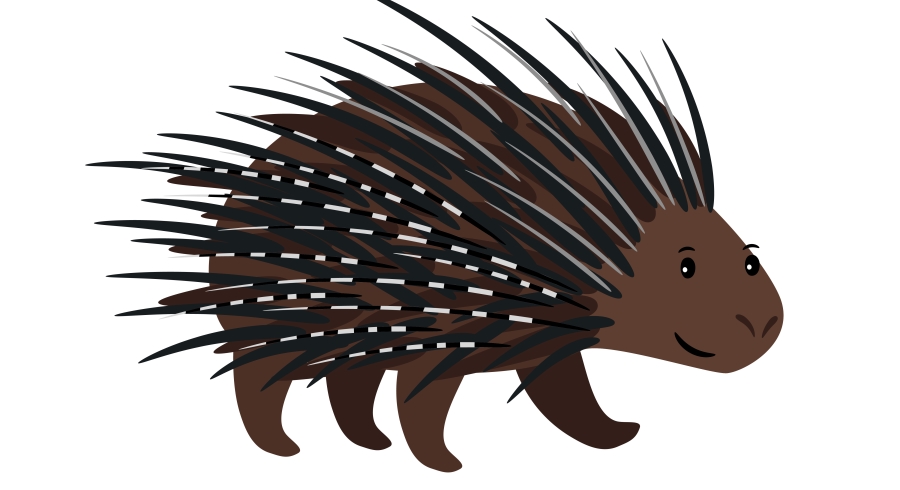 Dikobraz · Pigy.cz · pohádkové rádio · hry · omalovánky · zábava pro děti