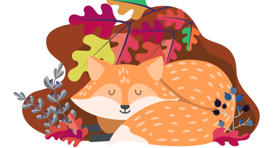 Zvířátka se chystají na zimu · Pigy.cz · pohádkové rádio · hry · omalovánky · zábava pro děti